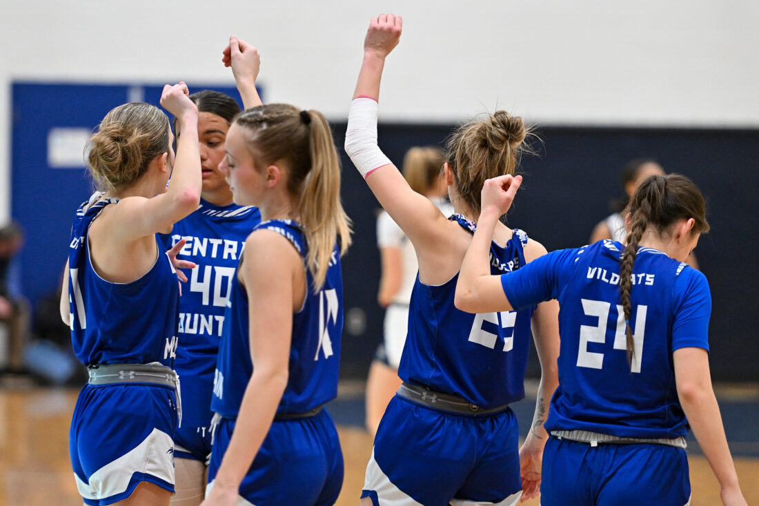 Wildcats close season in district semis, fall to three-time defending ...